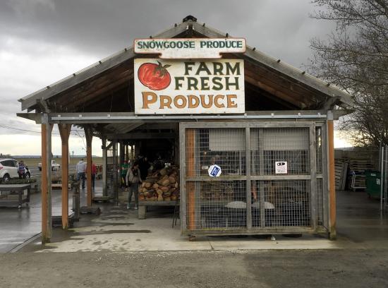 Snow Goose Produce + Breadfarm = love