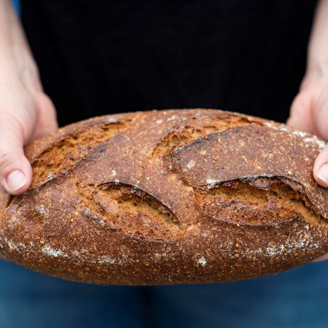 chuckanut-multigrain – Breadfarm